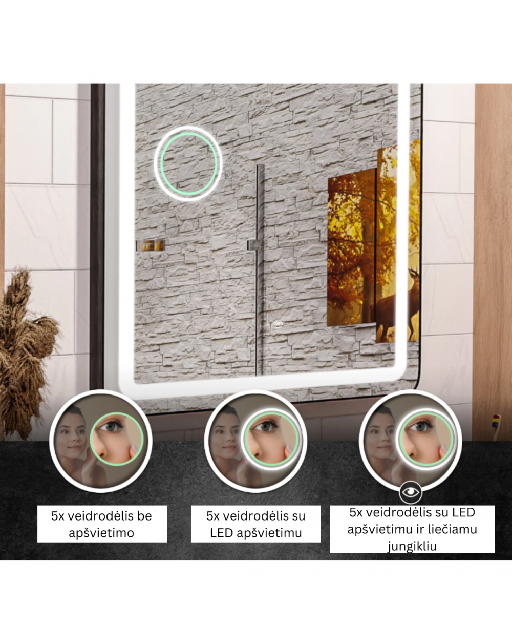 Alasta London apvalus veidrodis su LED apšvietimu, juodu aliuminio rėmeliu